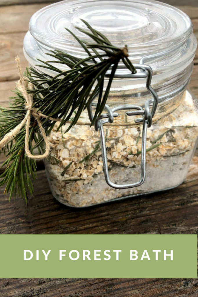 Gifts for the Forest Bathing and Nature Enthusiast - Forest Bathing Central