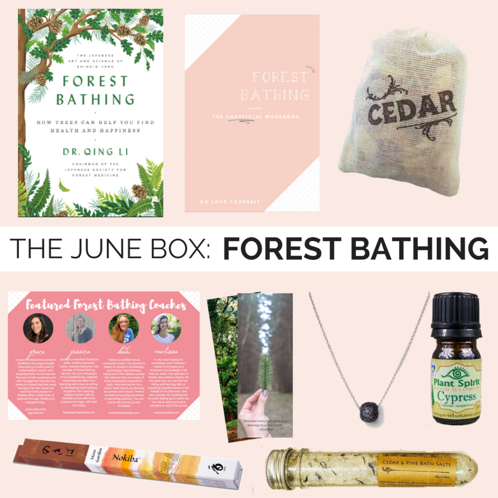 Featured in - Forest Bathing Central forest bathing shinrin-yoku ...